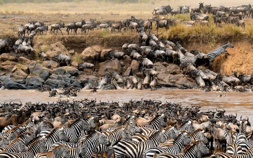 Great Migration Eco-Safari - Cowgirls & Pirates: Safaris for a ...