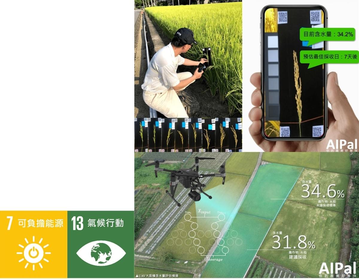 AIPal - 你的AI夥伴