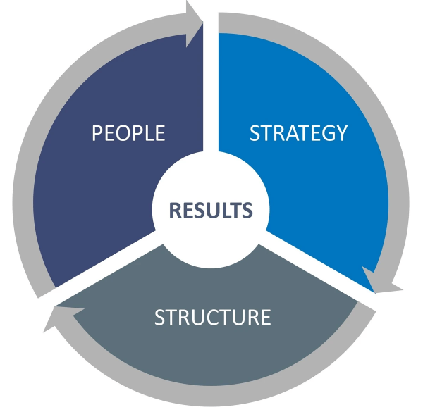 Organizational Assessments - Waypoint Growth Advisors