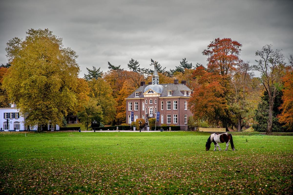 Hoekelum & De Sysselt (5) - Natuurgebieden