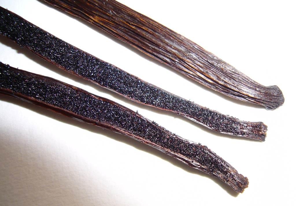 Where Vanilla Comes From? - Vanilla Pods Mexican Vanilla Extract