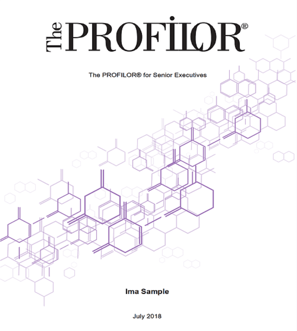 The Profilor 360 Feedback