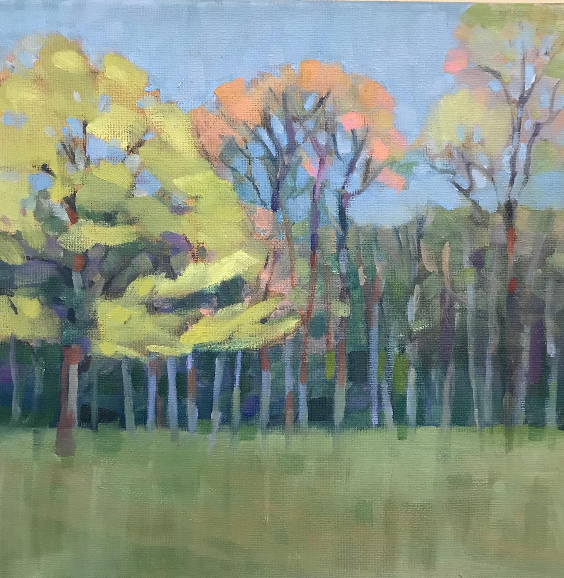 Susan Spellman Collection