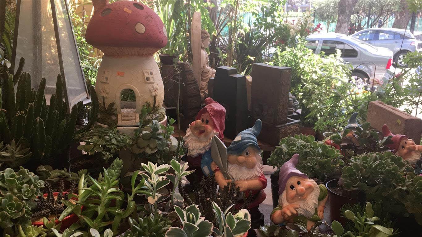 AllGreen - Vivero Belgrano - Plantas y Jardines