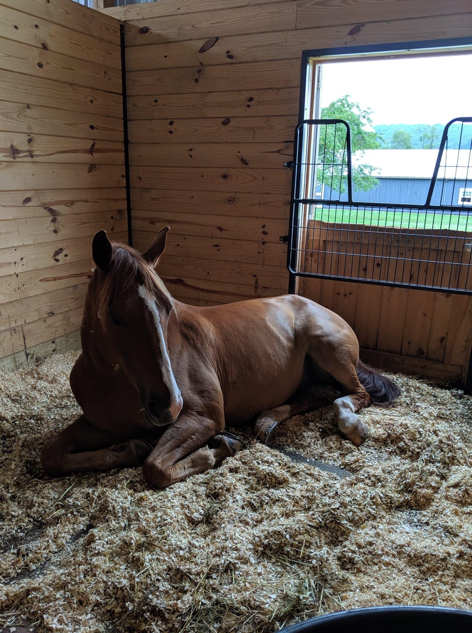 Rosewood Equestrian Center