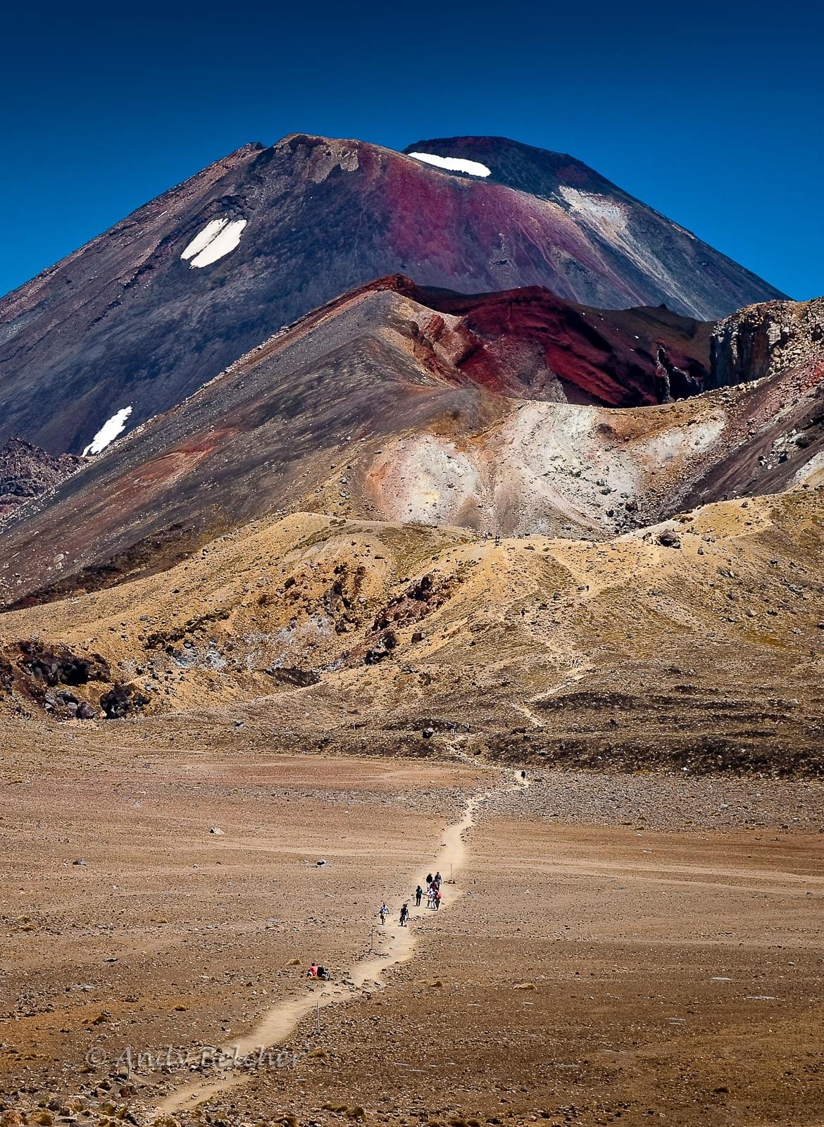 Andy Belcher | Legend Photography