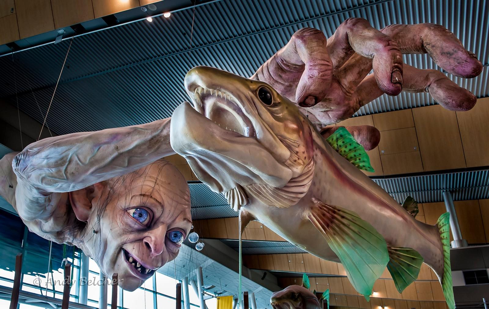 Andy Belcher | Legend Photography