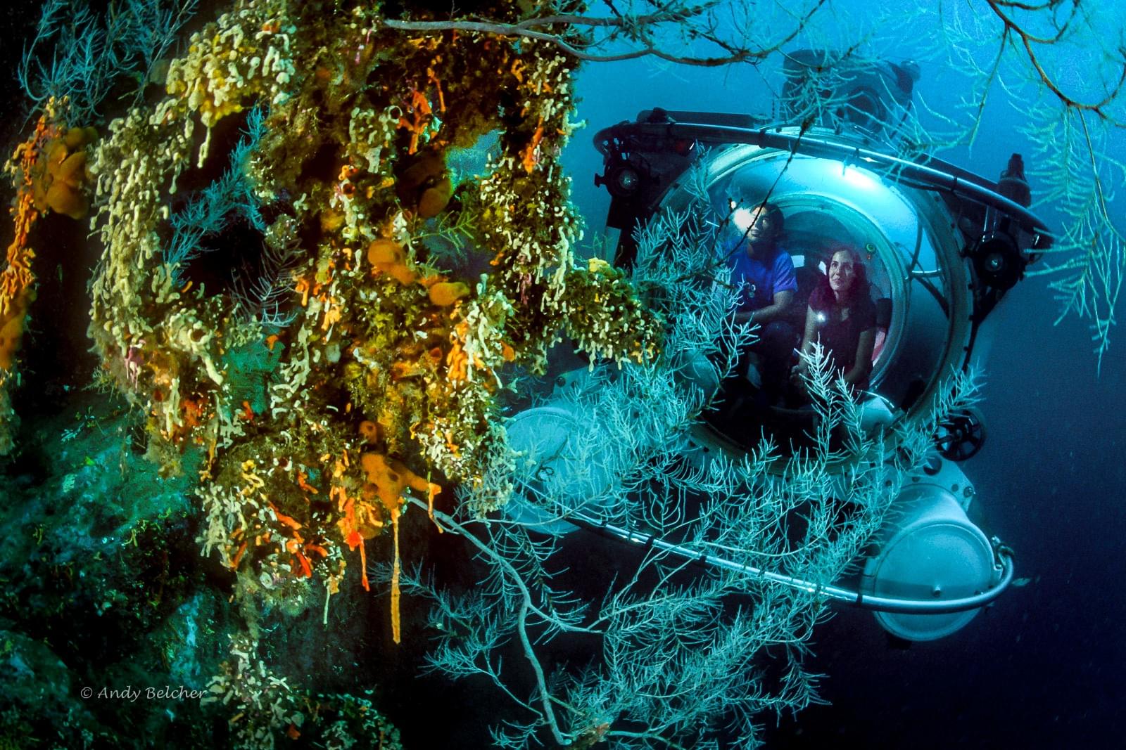 Andy Belcher | Legend Photography