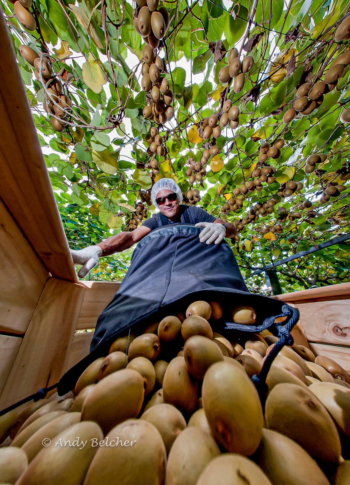 Andy Belcher | Legend Photography