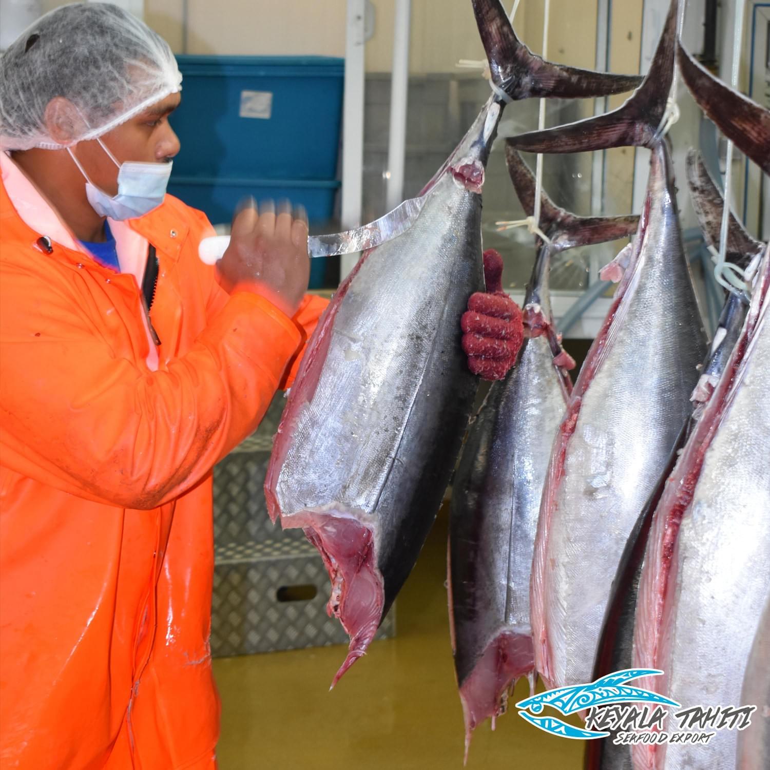 Keyala Tahiti Seafood