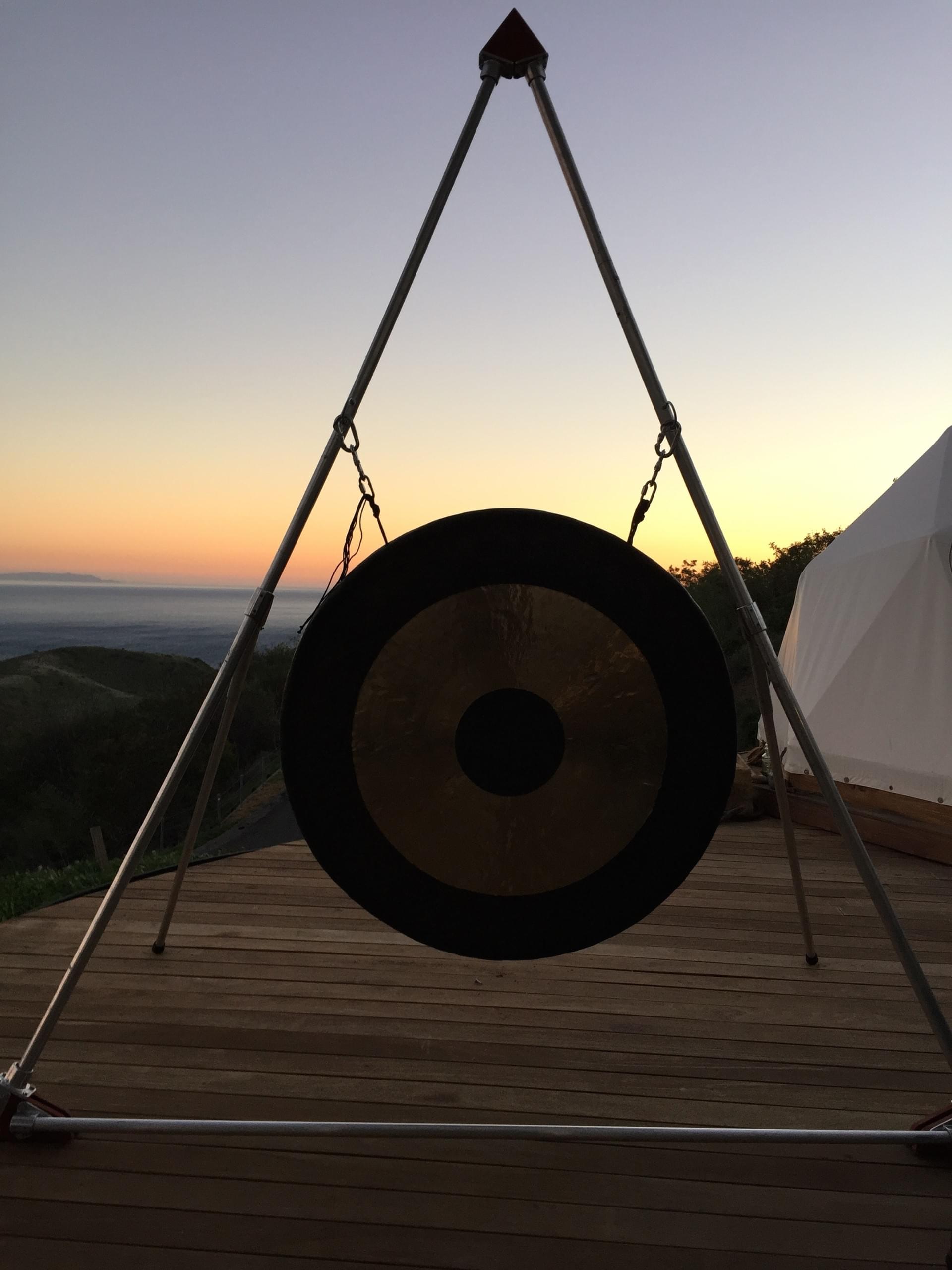 WILLIAM CLOSE & THE EARTH HARP COLLECTIVE