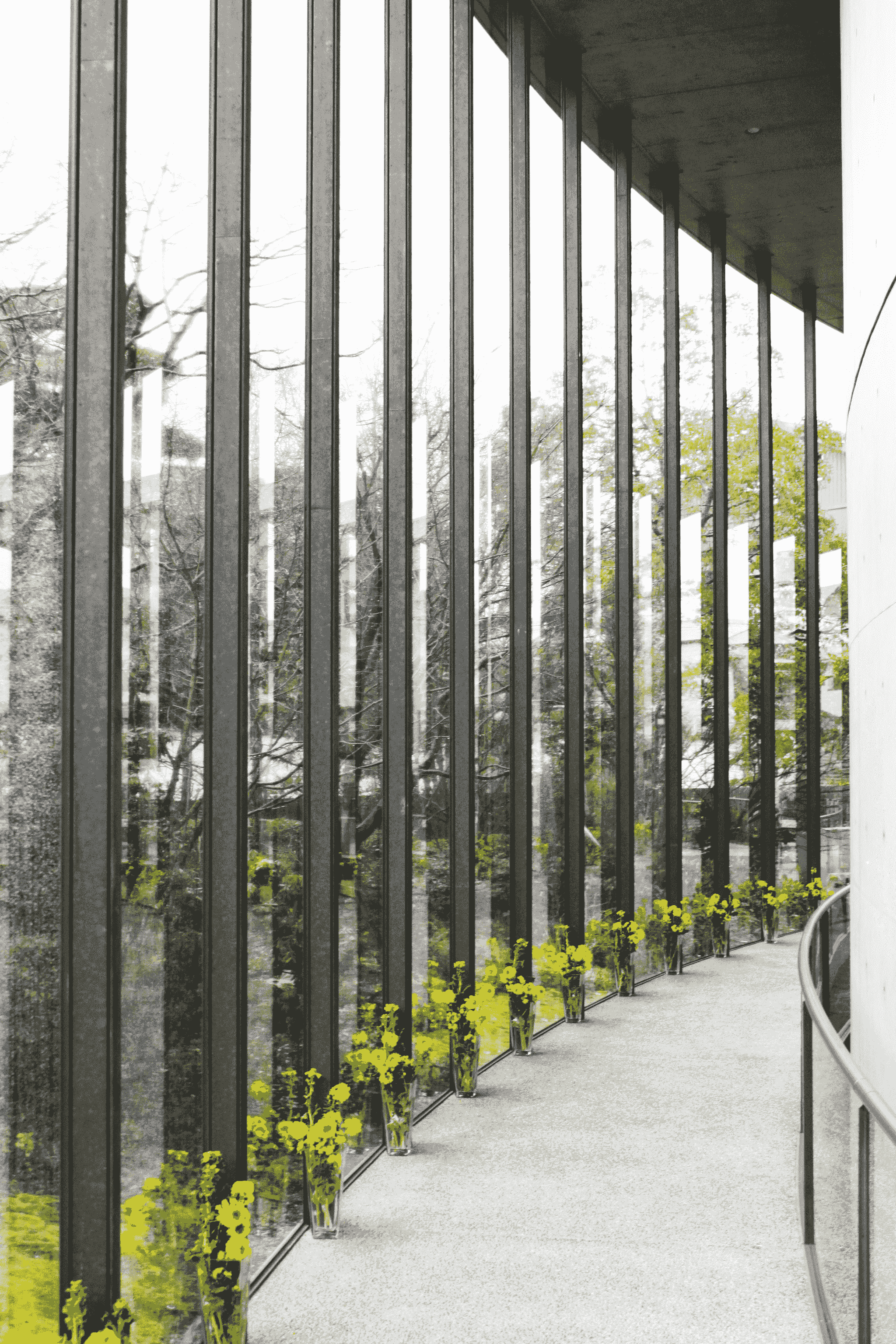 Create Your Dream with Glass House Prefab Ideas
