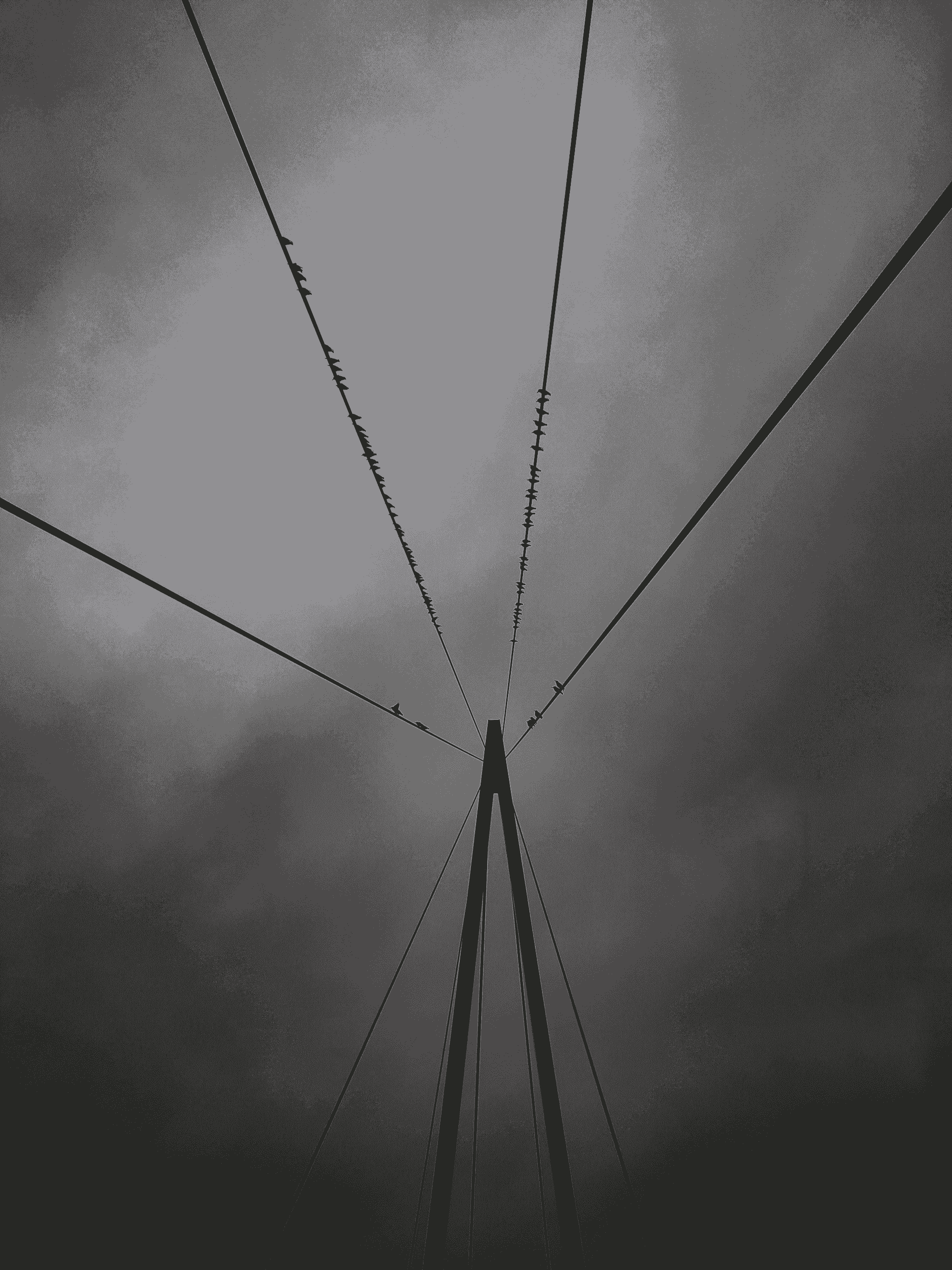 Choosing the Right Damper for Transmission Lines