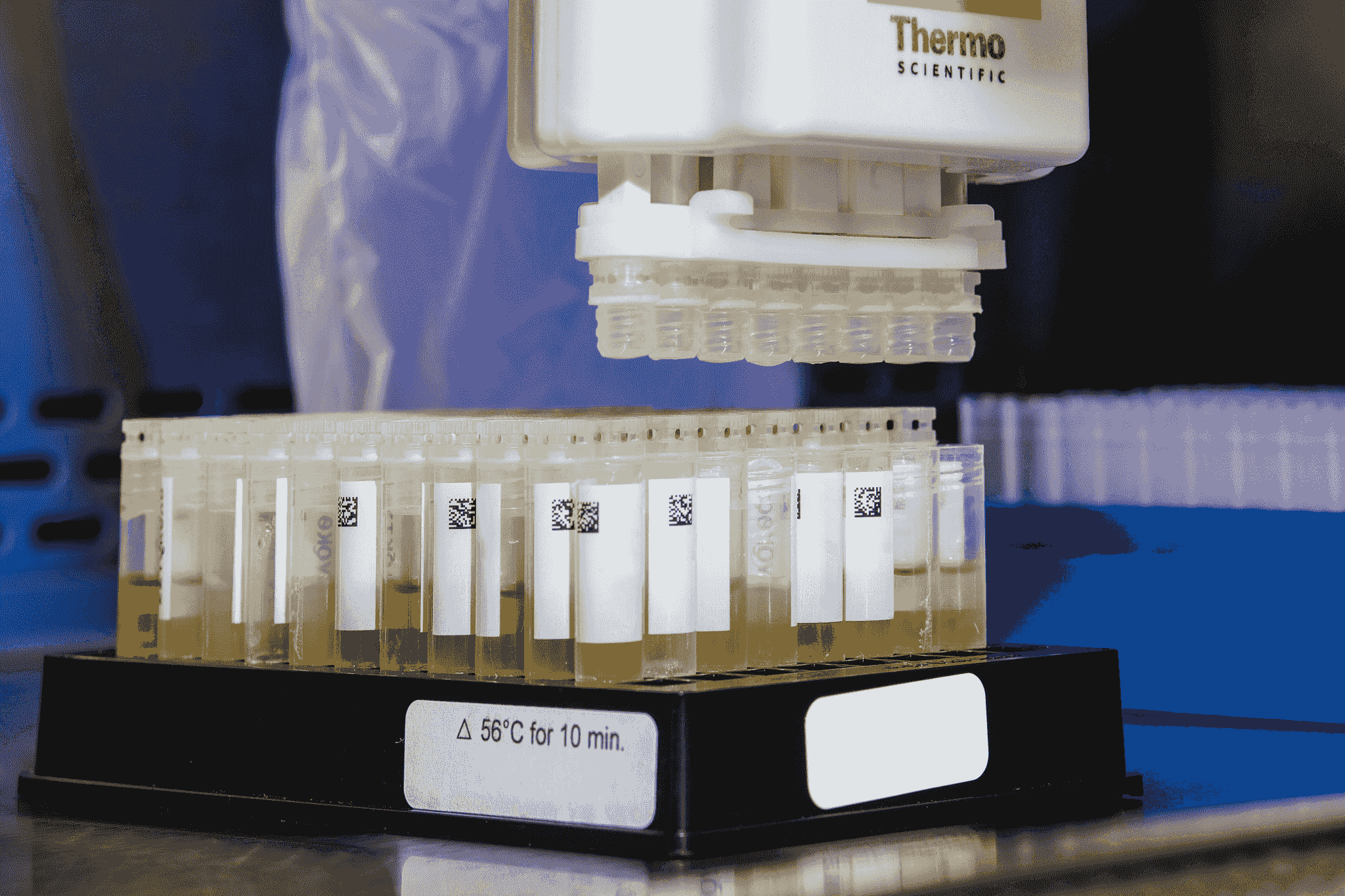 What Is a Reference Sample - A Comprehensive Overview