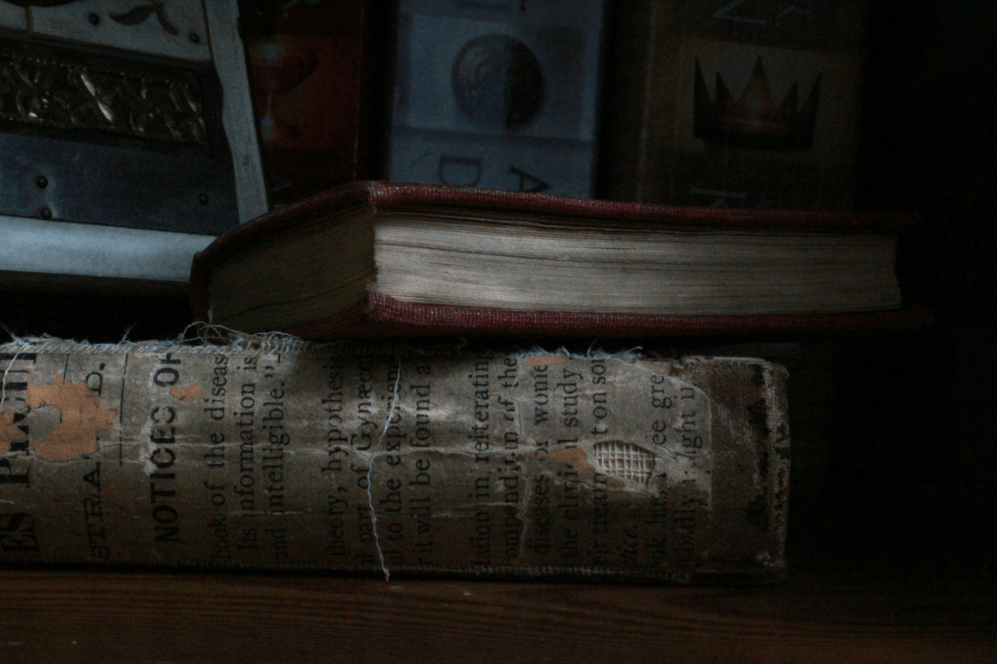 Amur State University Partners with Zeus Press to Launc...