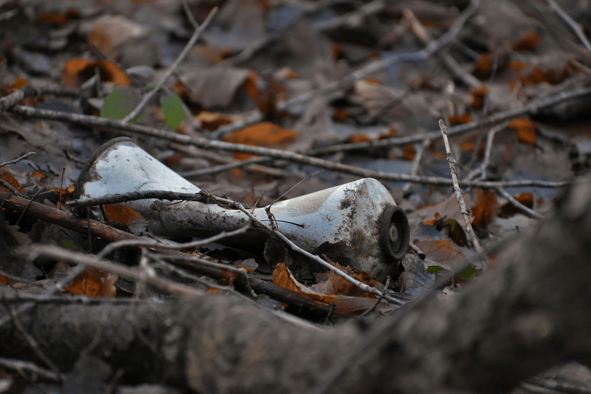 Environmental Considerations for Disposing of Tissue an...