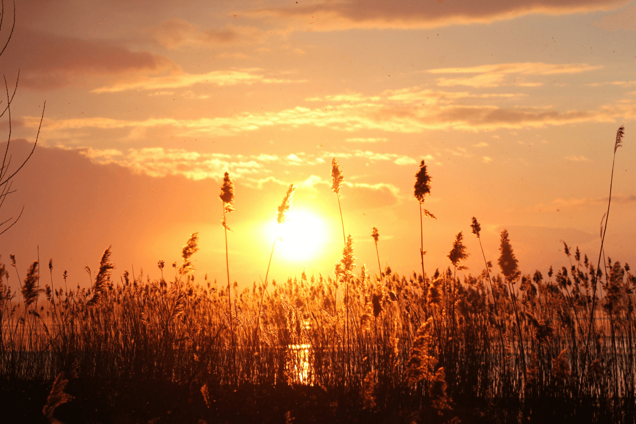 Shifting Your Money Beliefs