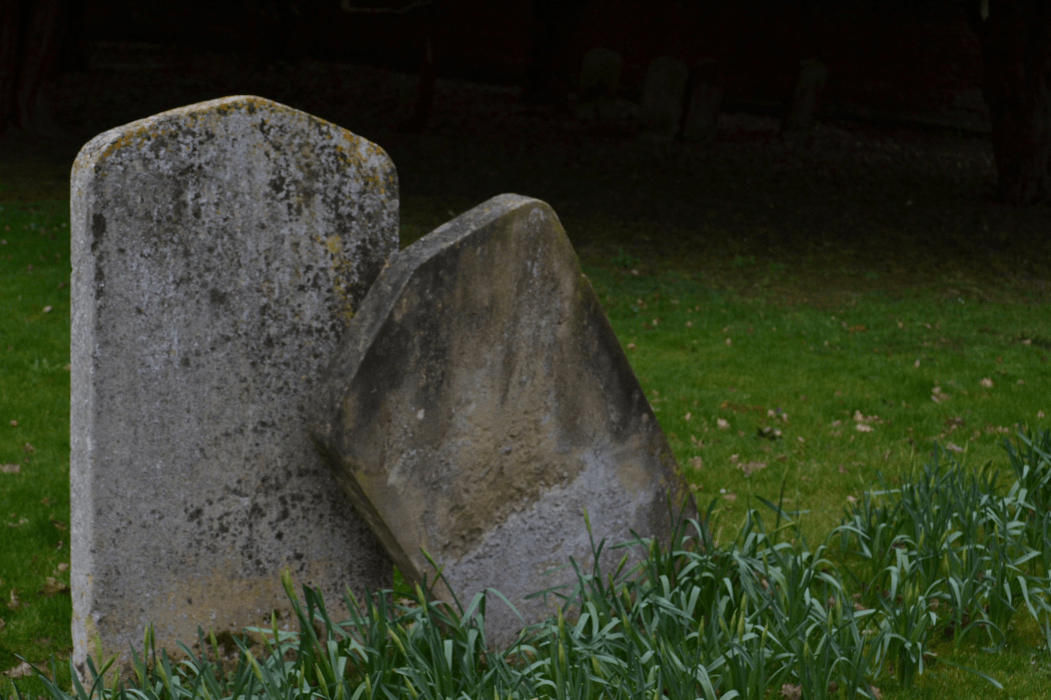 A Graveyard For Test Bowlers - Cricket