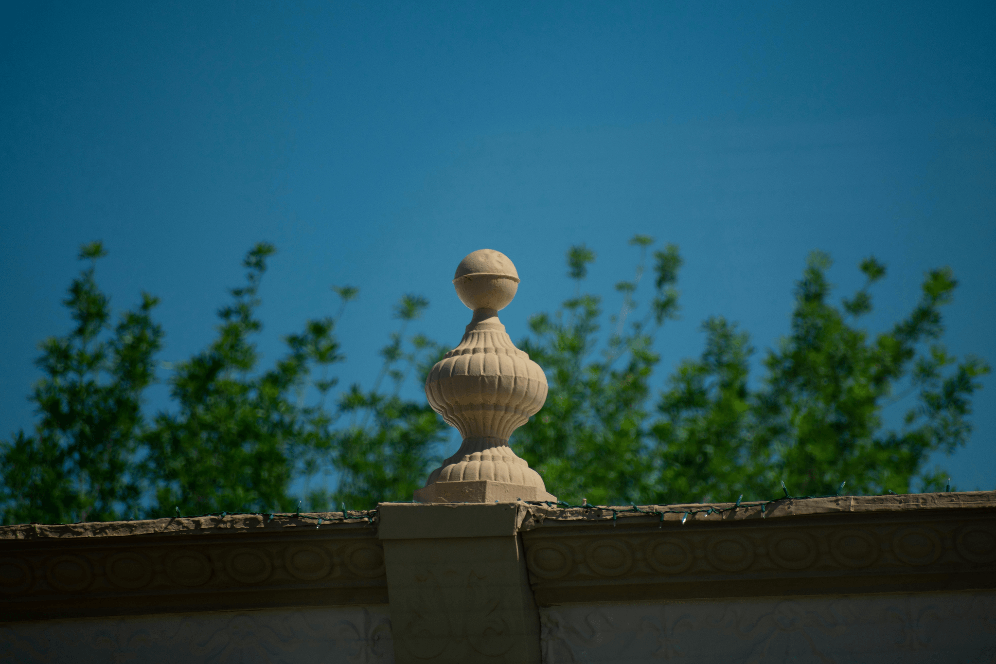 Word form, Antonym, Synonym, Collocation với "Execute