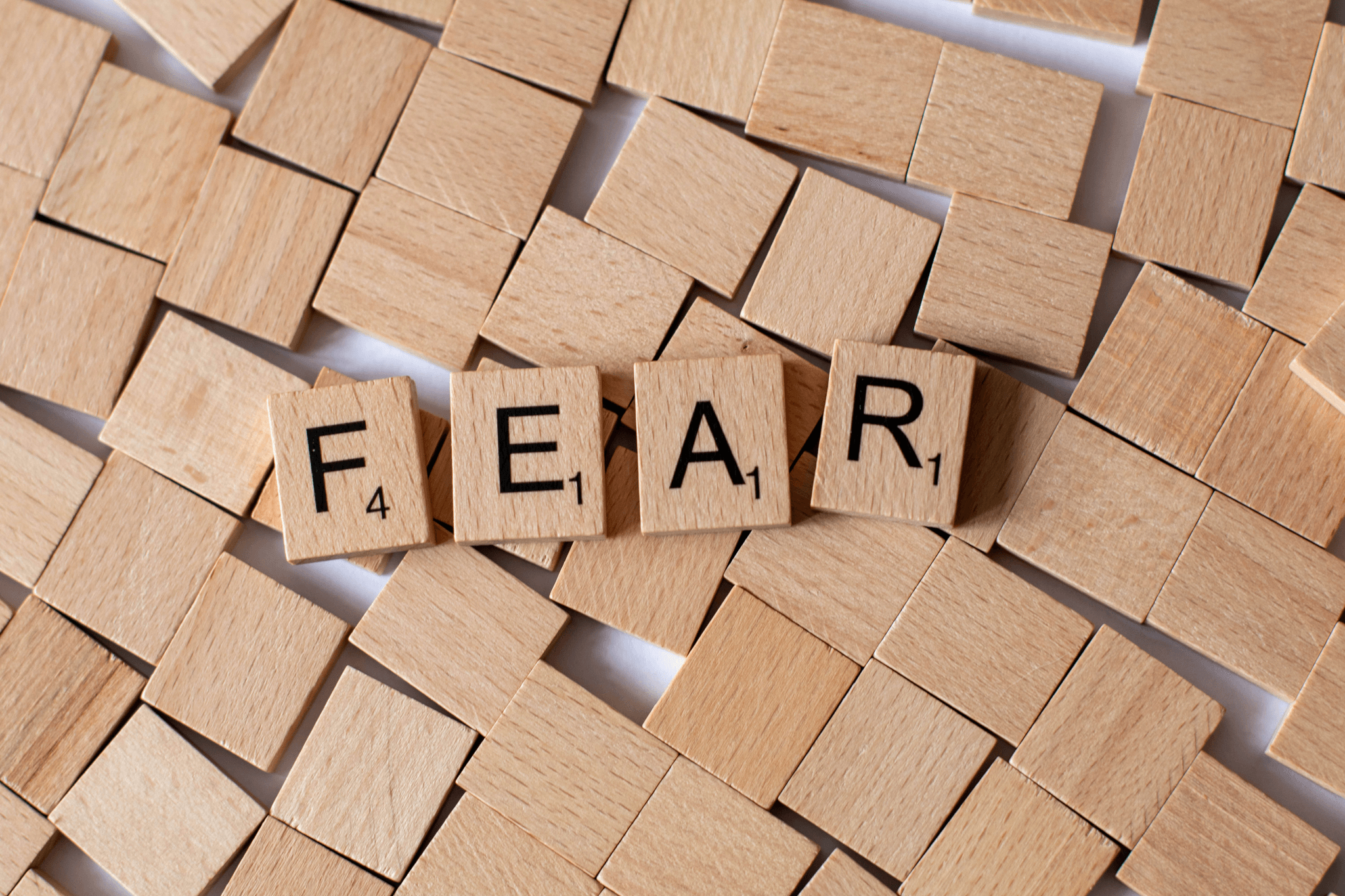 The fear factor: why wealth does not always mean wisdom...
