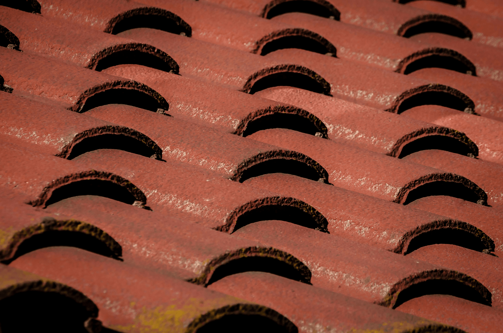 Diligent Roof Maintenance