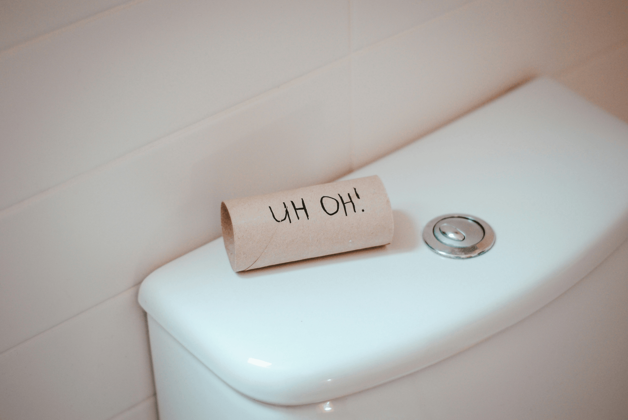 Choosing the Right Toilet Paper for Your Needs - Toilet...