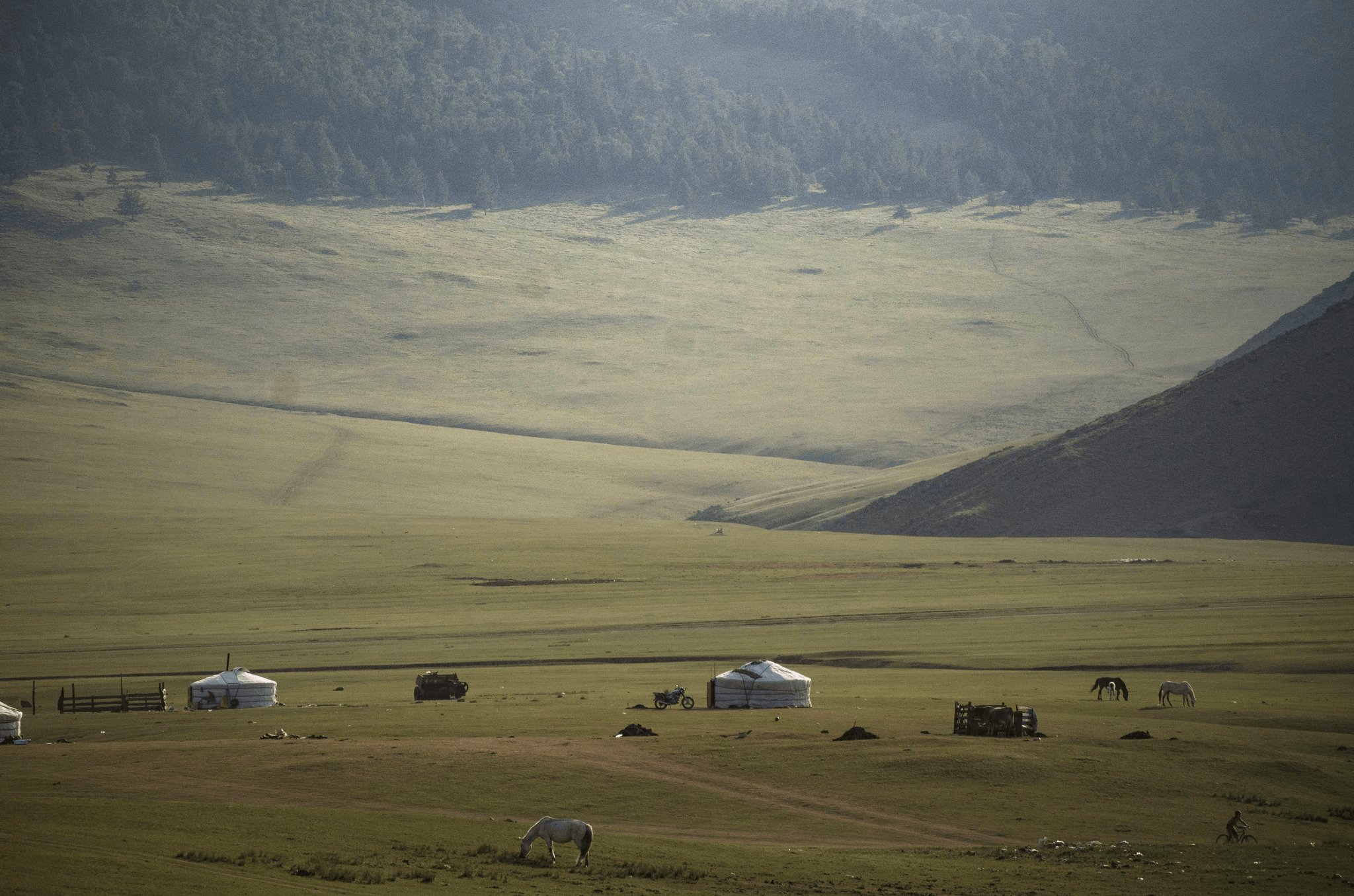 The Significance of Yaks for Tibetan People | Guide Tibet
