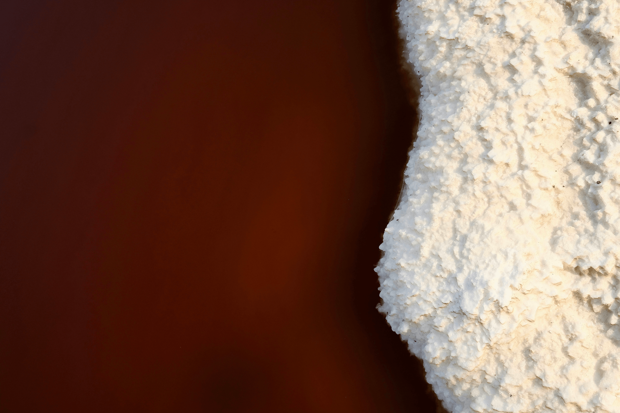 The Working Principle of A Pharmaceutical 2D Mixer