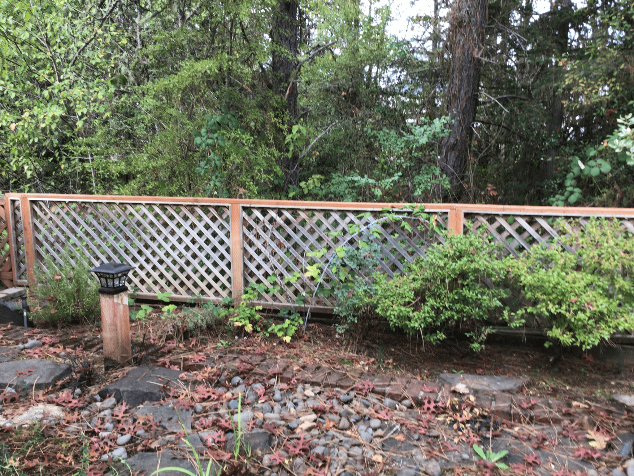 A Step-by-Step Guide to DIY Fence Repairs and Upgrades