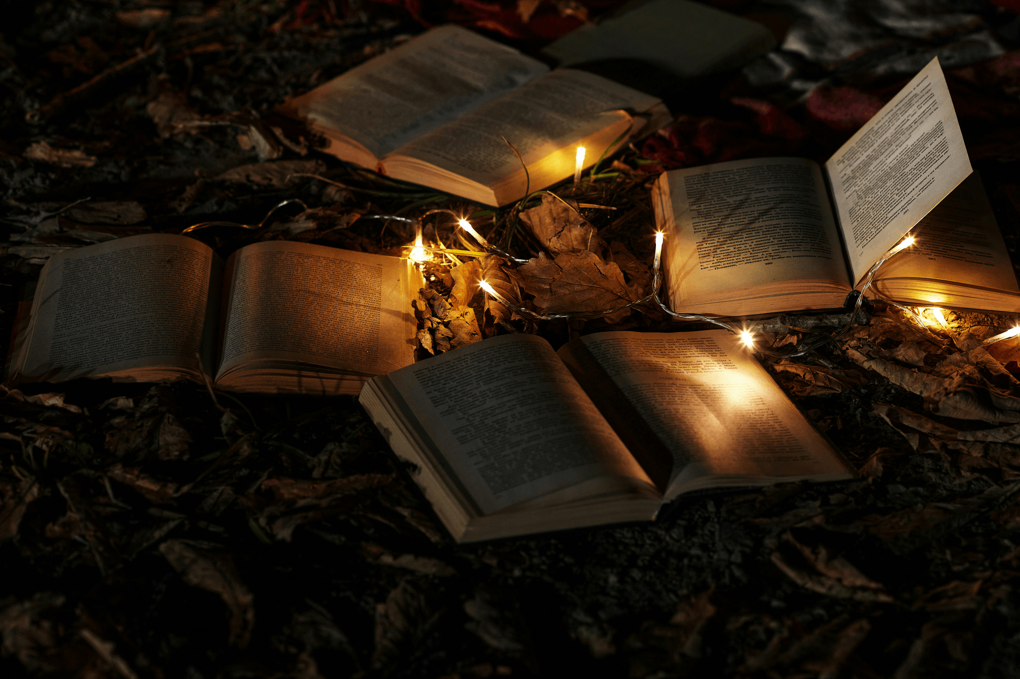 Book Curses - Book Curses Ancient curses Fine Book Coll...