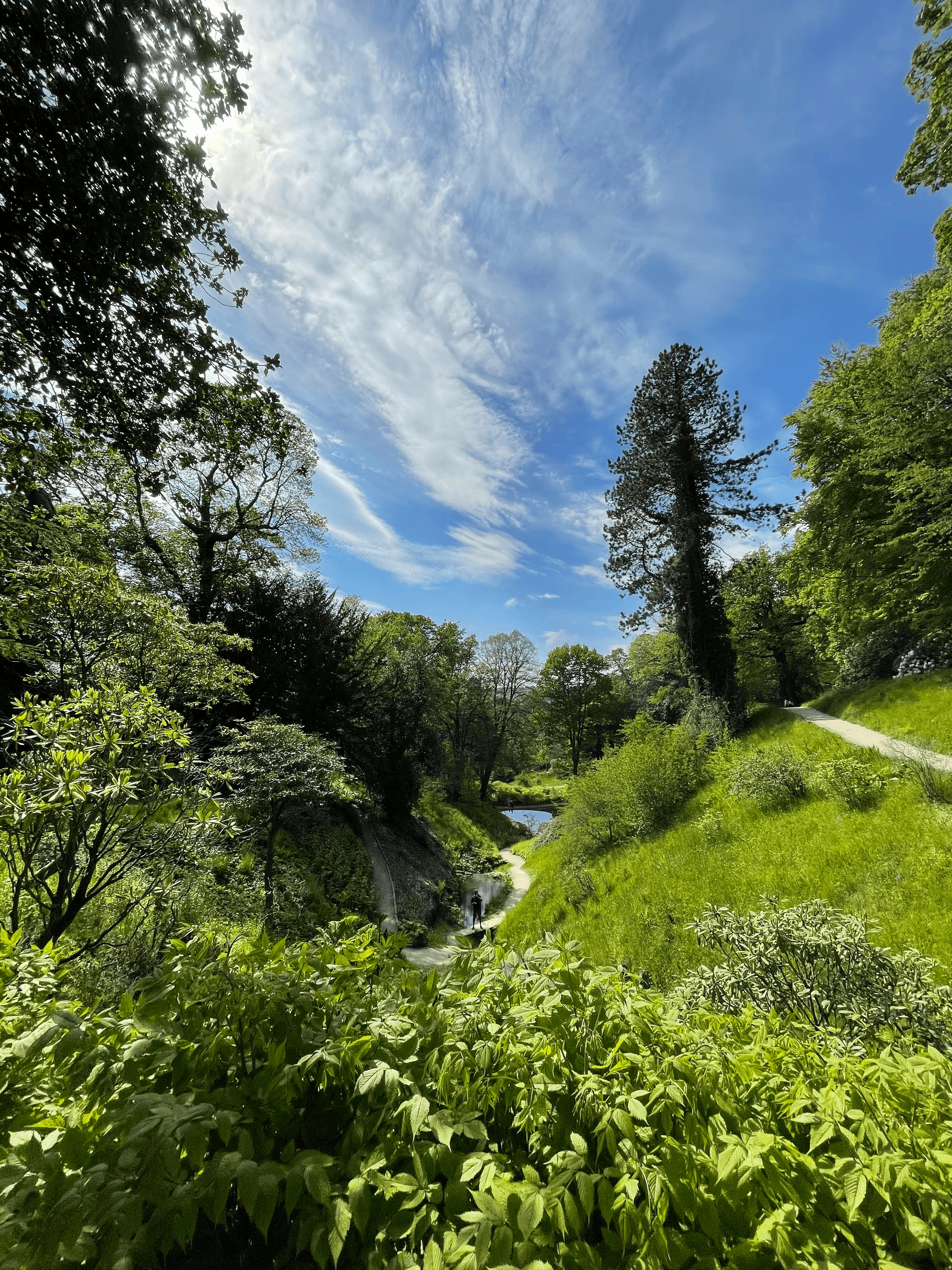 AN ANALYSIS OF THE TOURISM PRACTICES IN LIBACAO, AKLAN:...