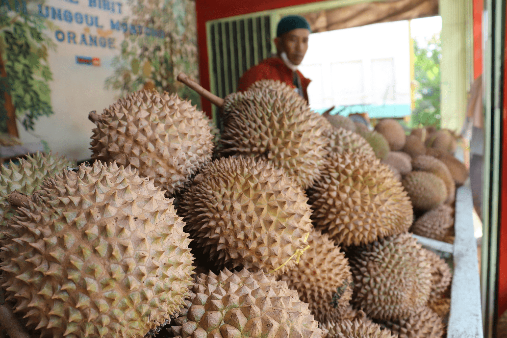 The Complete Guide to Durian Farming