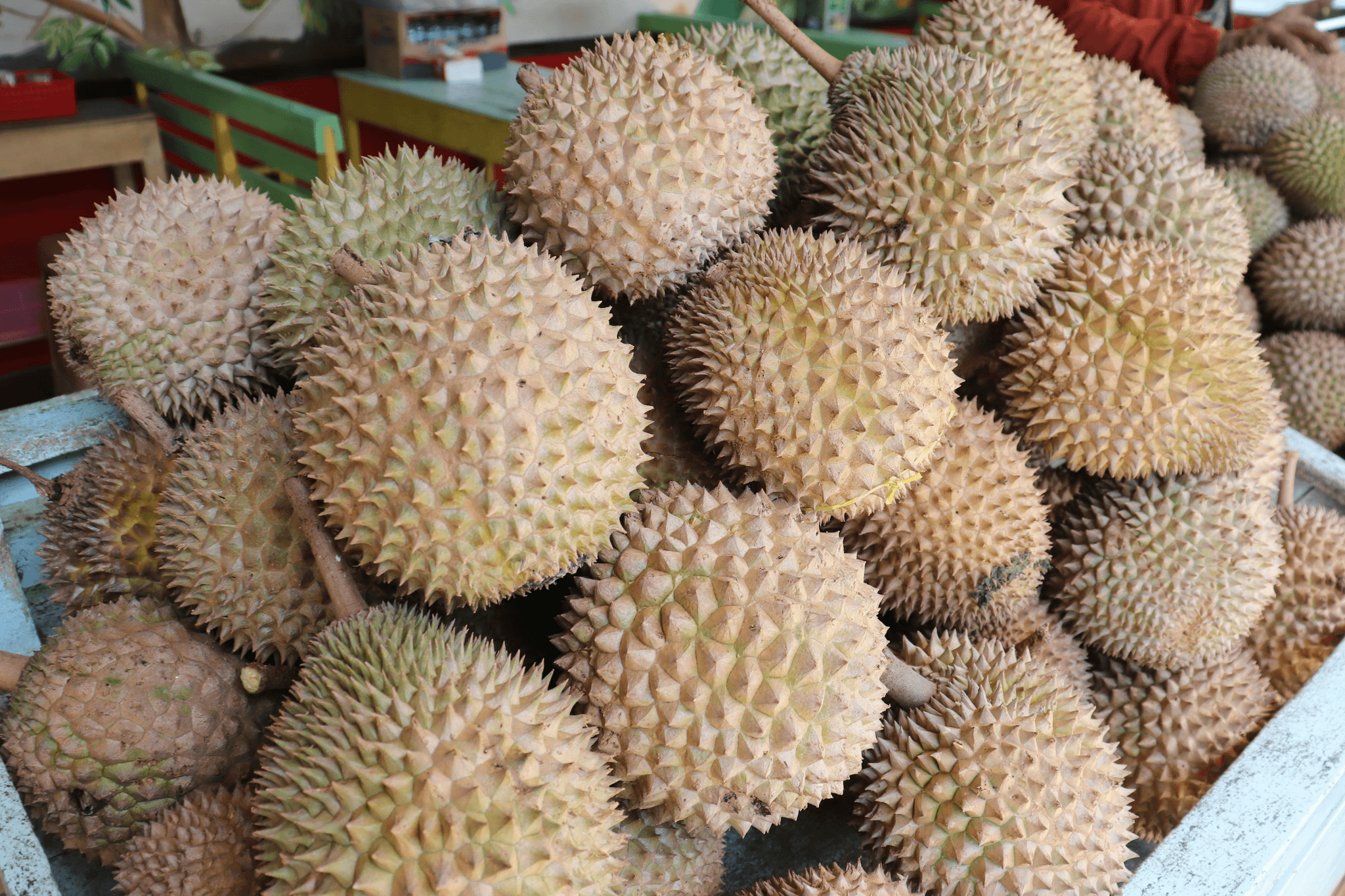 Durian Value-Added Products: Expanding Your Wholesale P...
