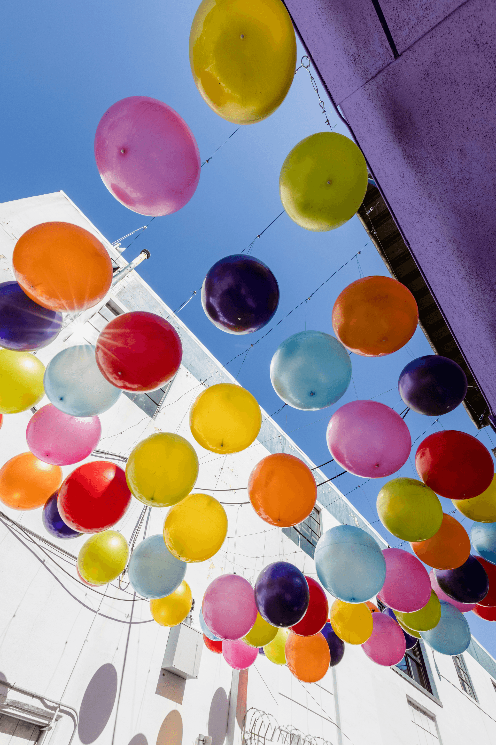 A Beginner's Guide to Balloon Twisting