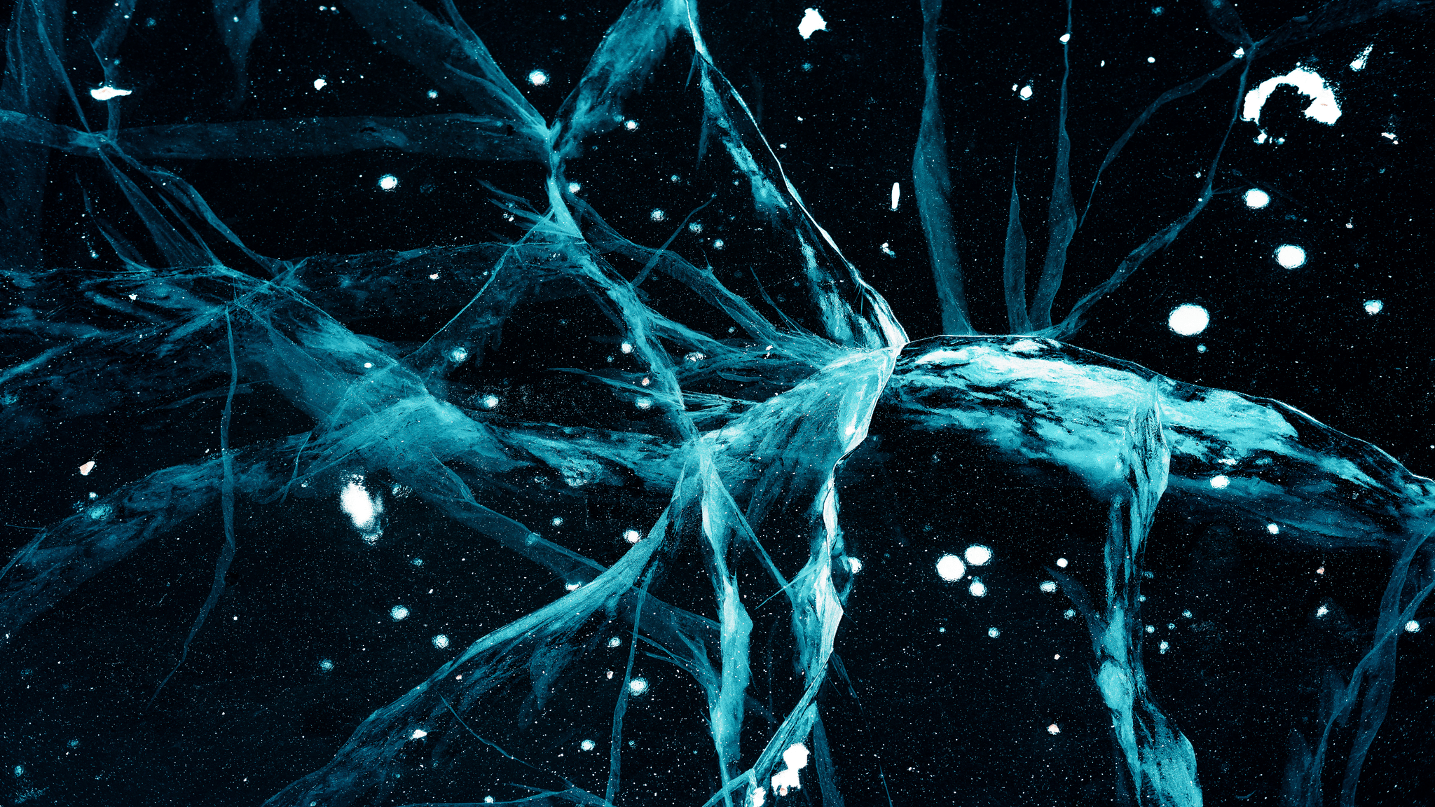 Whole Brain Living Series: Beyond the Book (and the Bra...