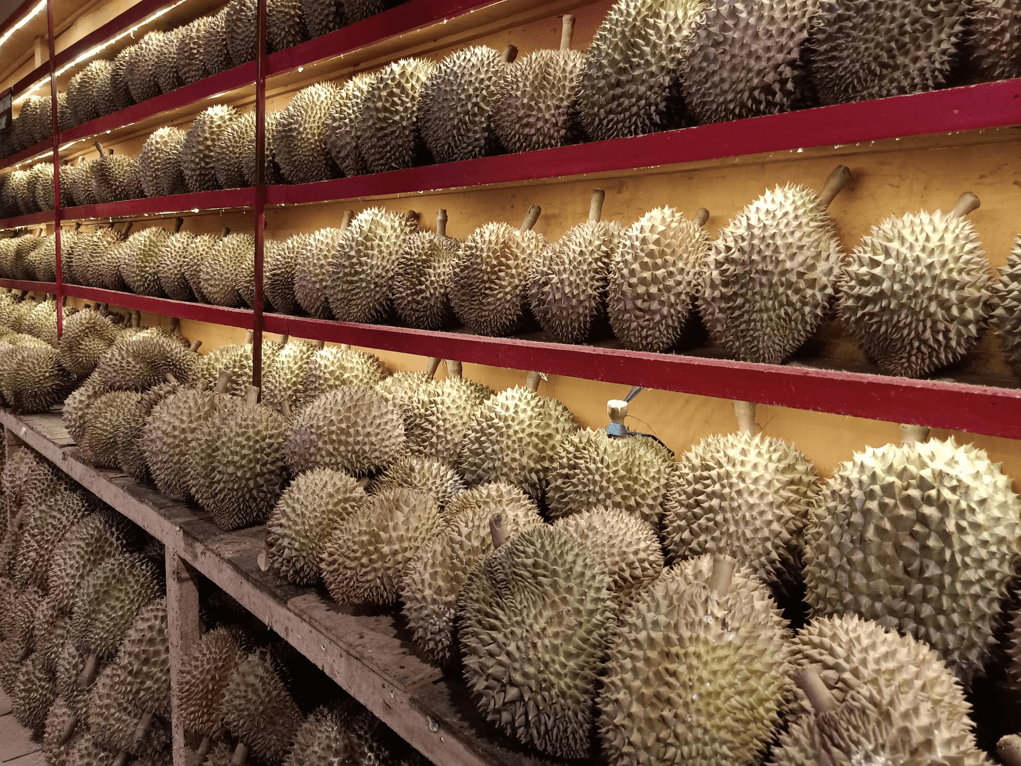 How to Scale Your Business with a Reliable Durian Suppl...