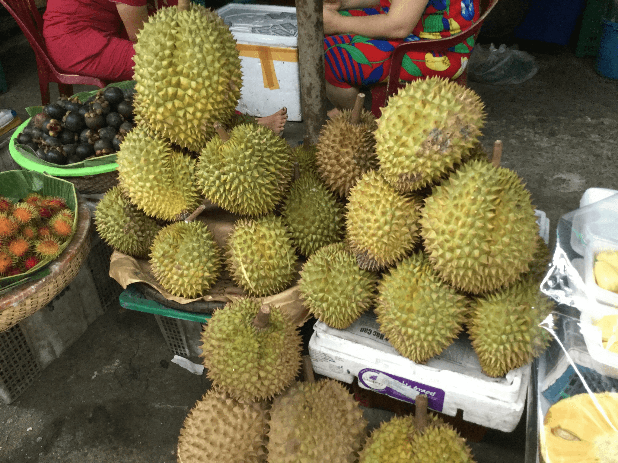 The Science of Stink: Why Does Durian Smell So Strong?