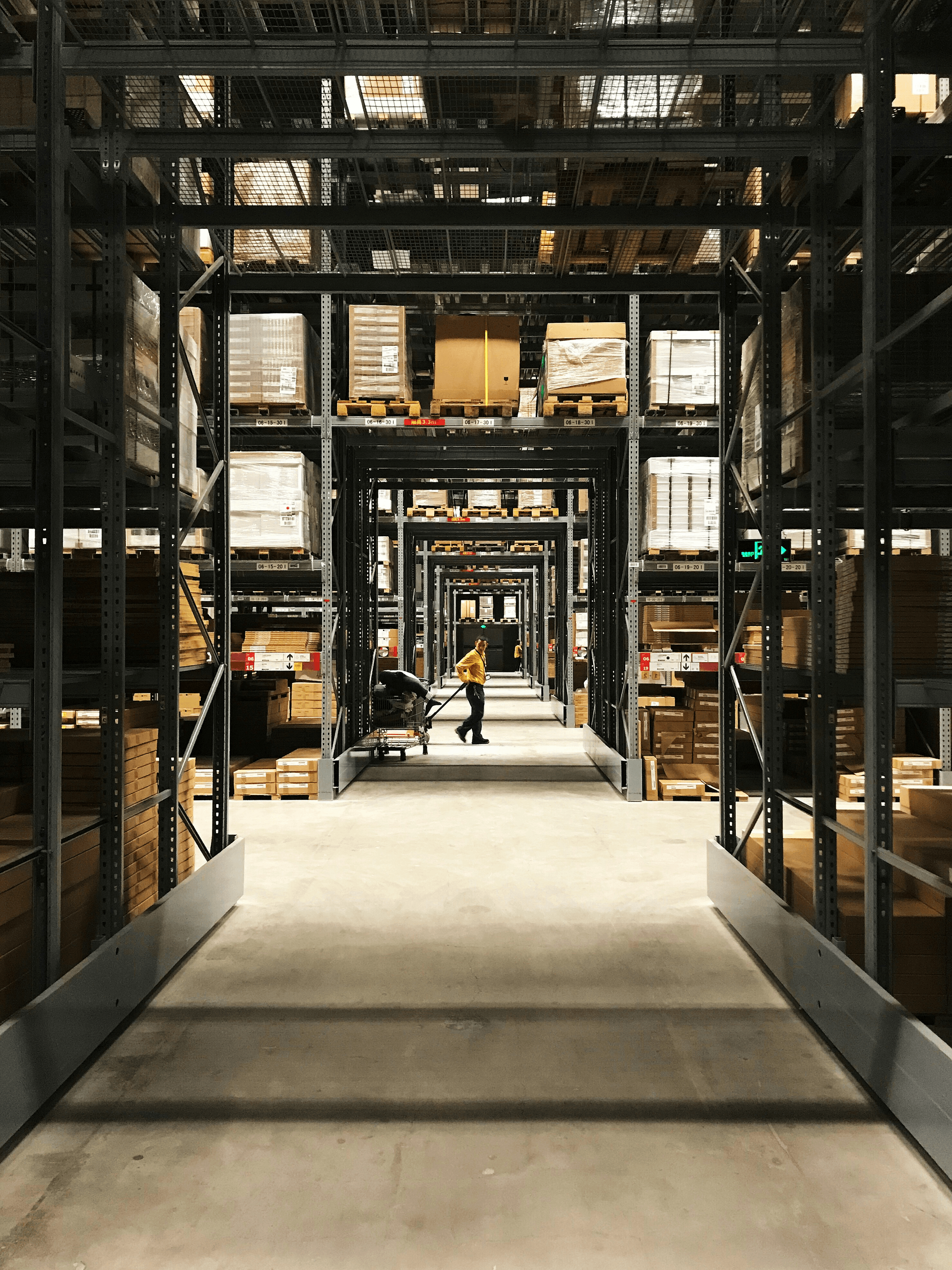 What are the 4 Basic Functions of a Warehouse? A Deep D...
