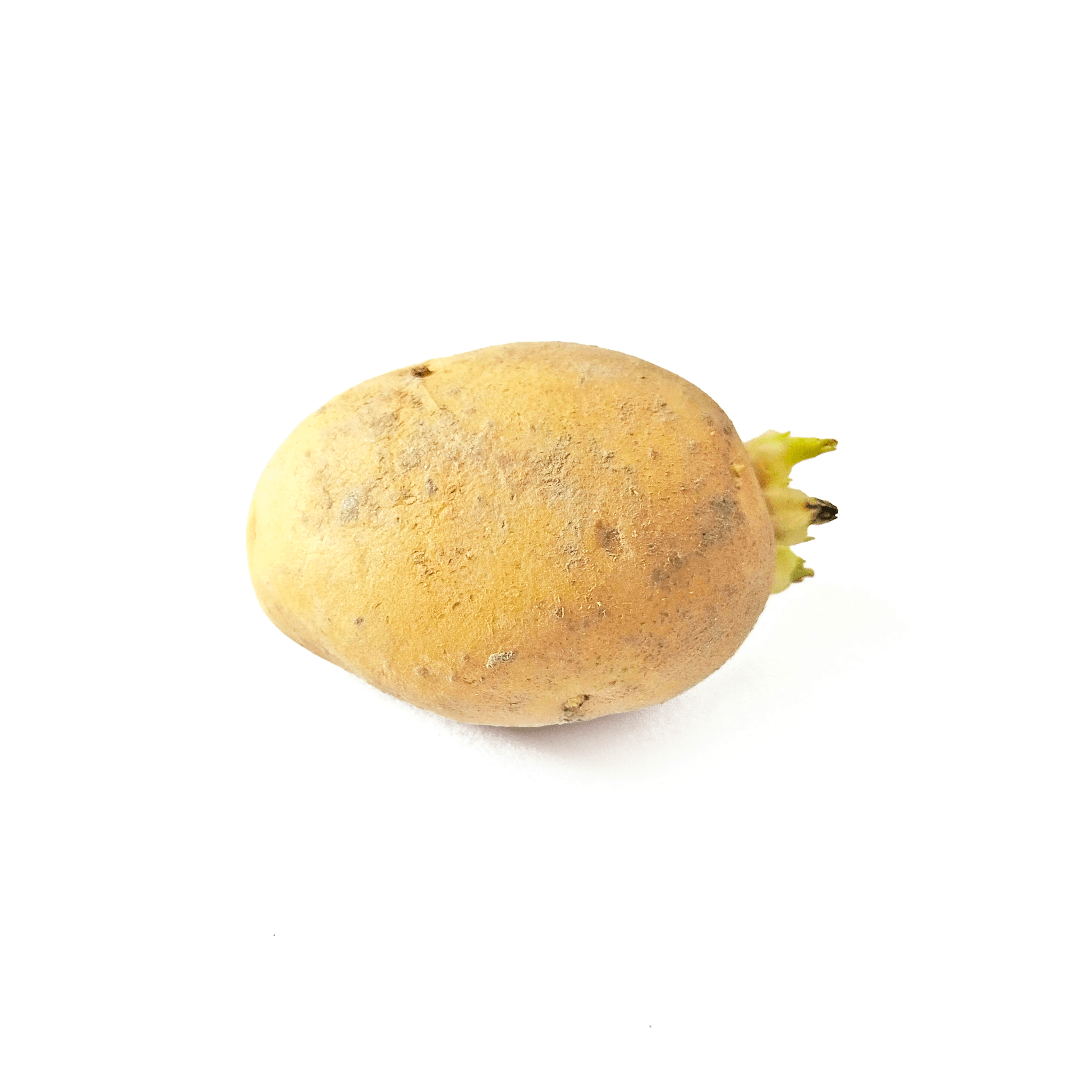 That Time My Brain Turned Into a Potato - Awakening Ori...