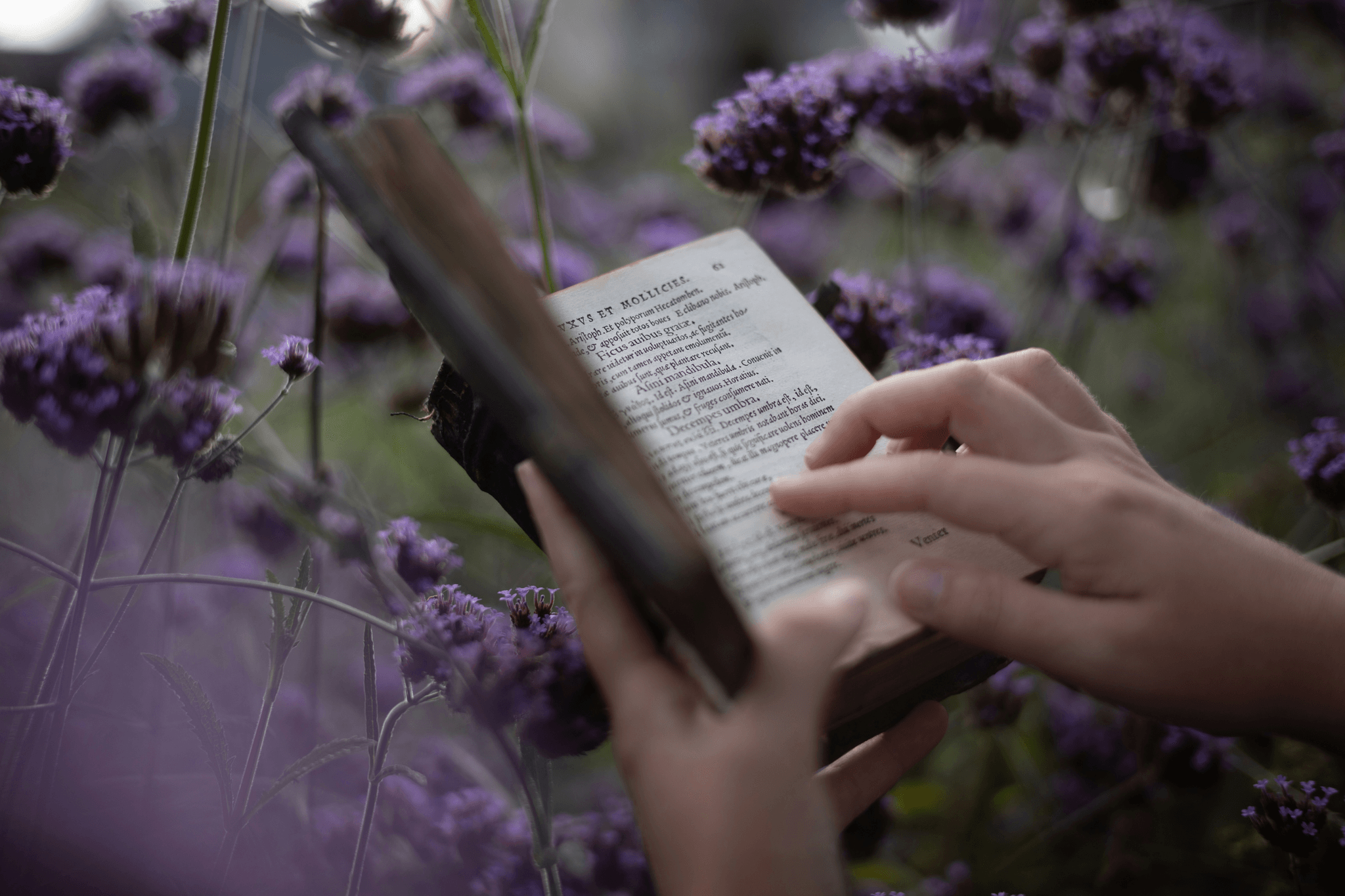 EFFECTIVENESS OF GUIDED ORAL READING STRATEGY TO THE RE...